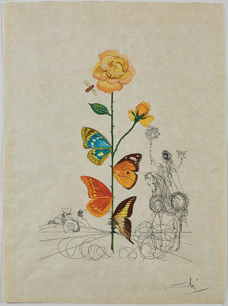 Salvador Dalí’s Florals - Flower Magazine