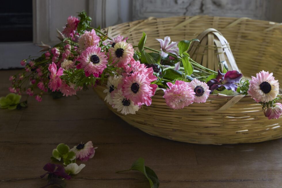 Flowers | Flower Magazine - A luxury, lifestyle publication