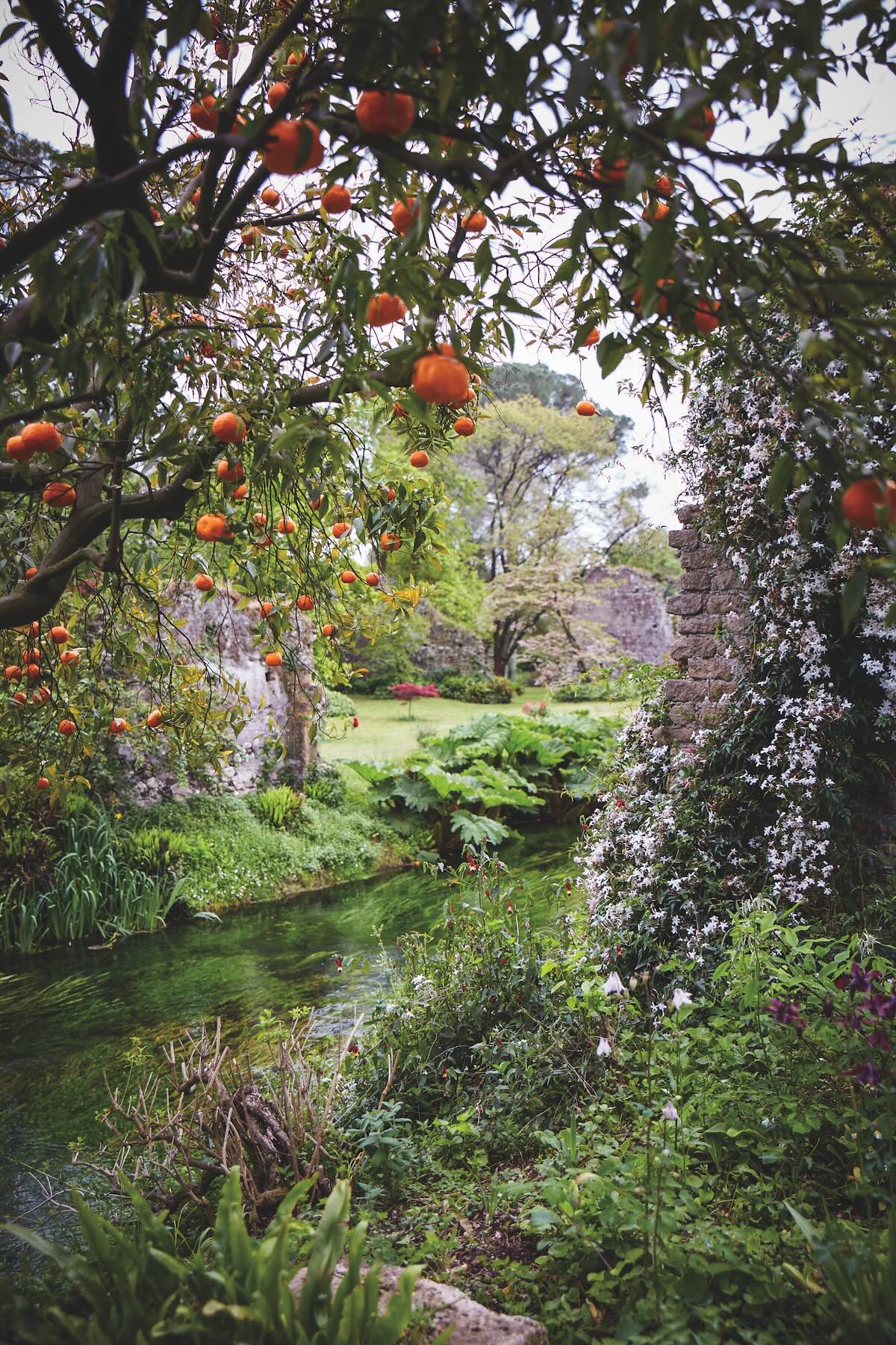 Garden of Ninfa - Flower Magazine