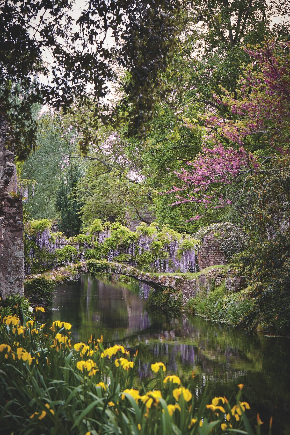 Garden of Ninfa - Flower Magazine
