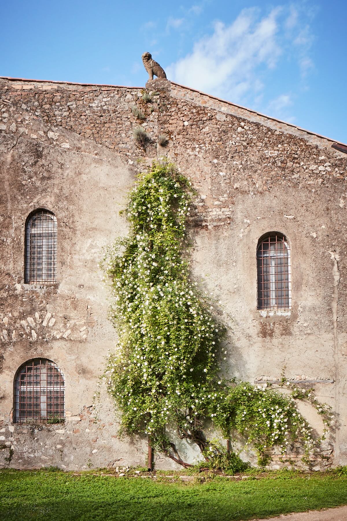 Garden of Ninfa - Flower Magazine